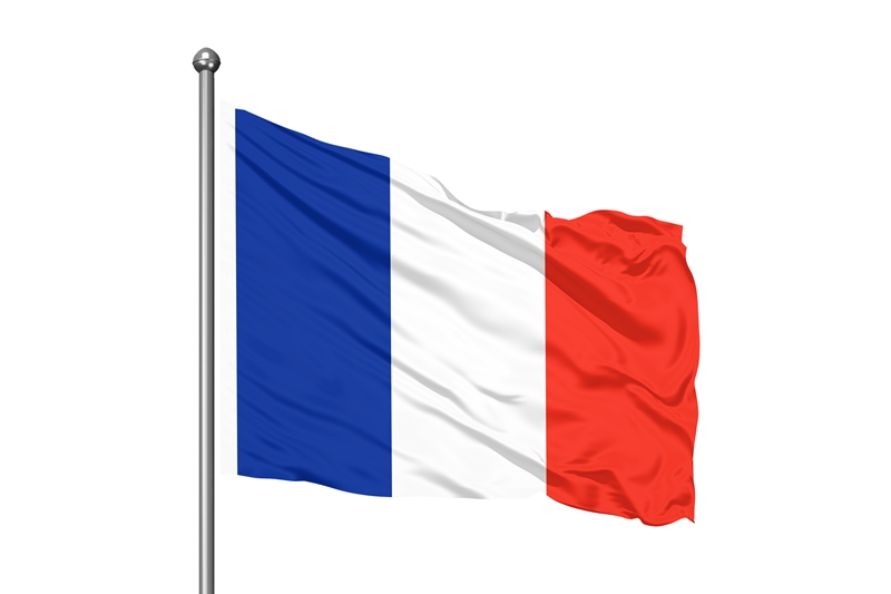 France Flag - Vend Wide